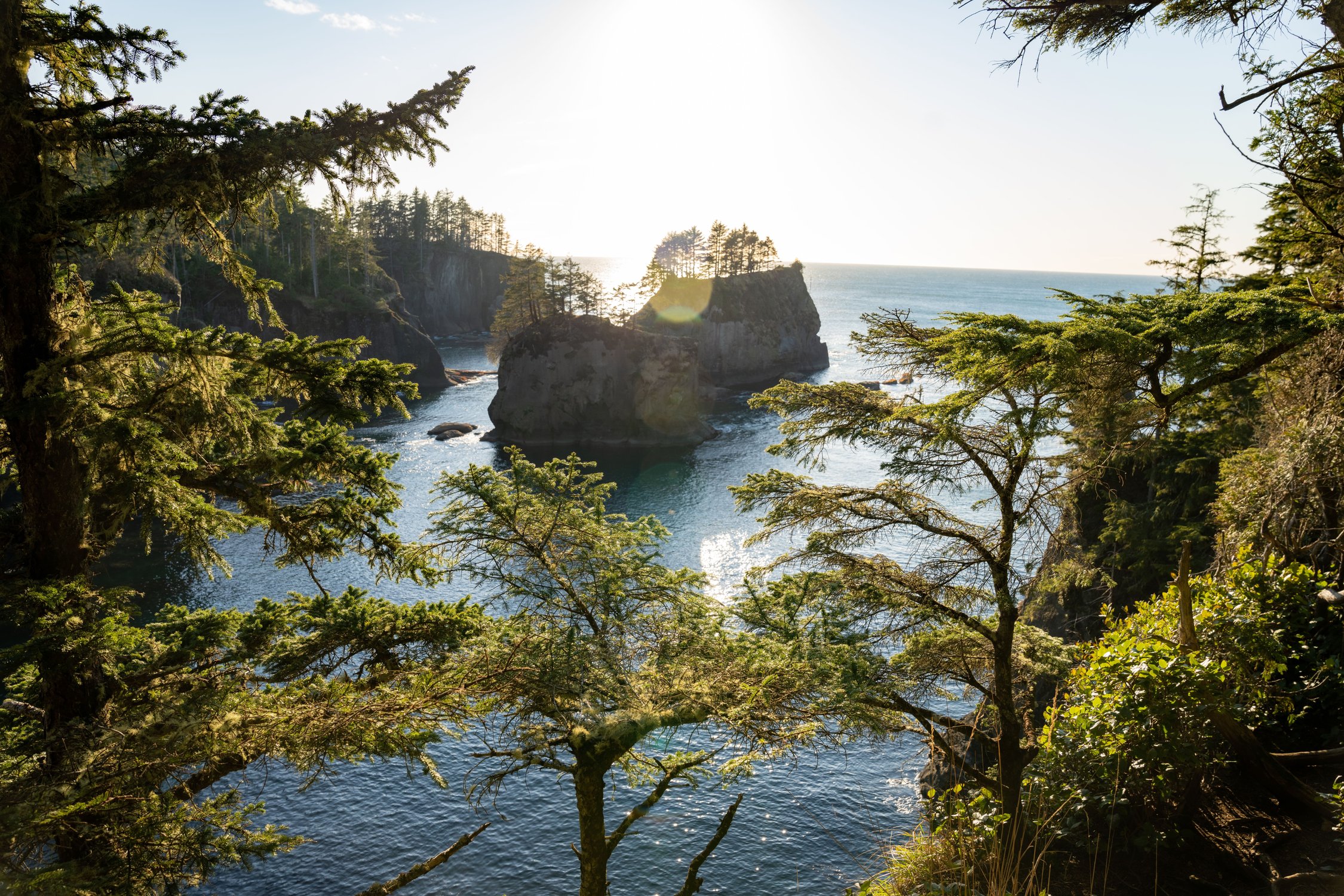 Experience the Best of Washington With These Outdoor Getaways