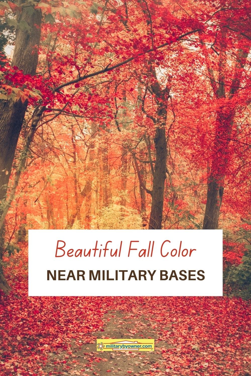 View Beautiful Fall Color Near These Military Bases