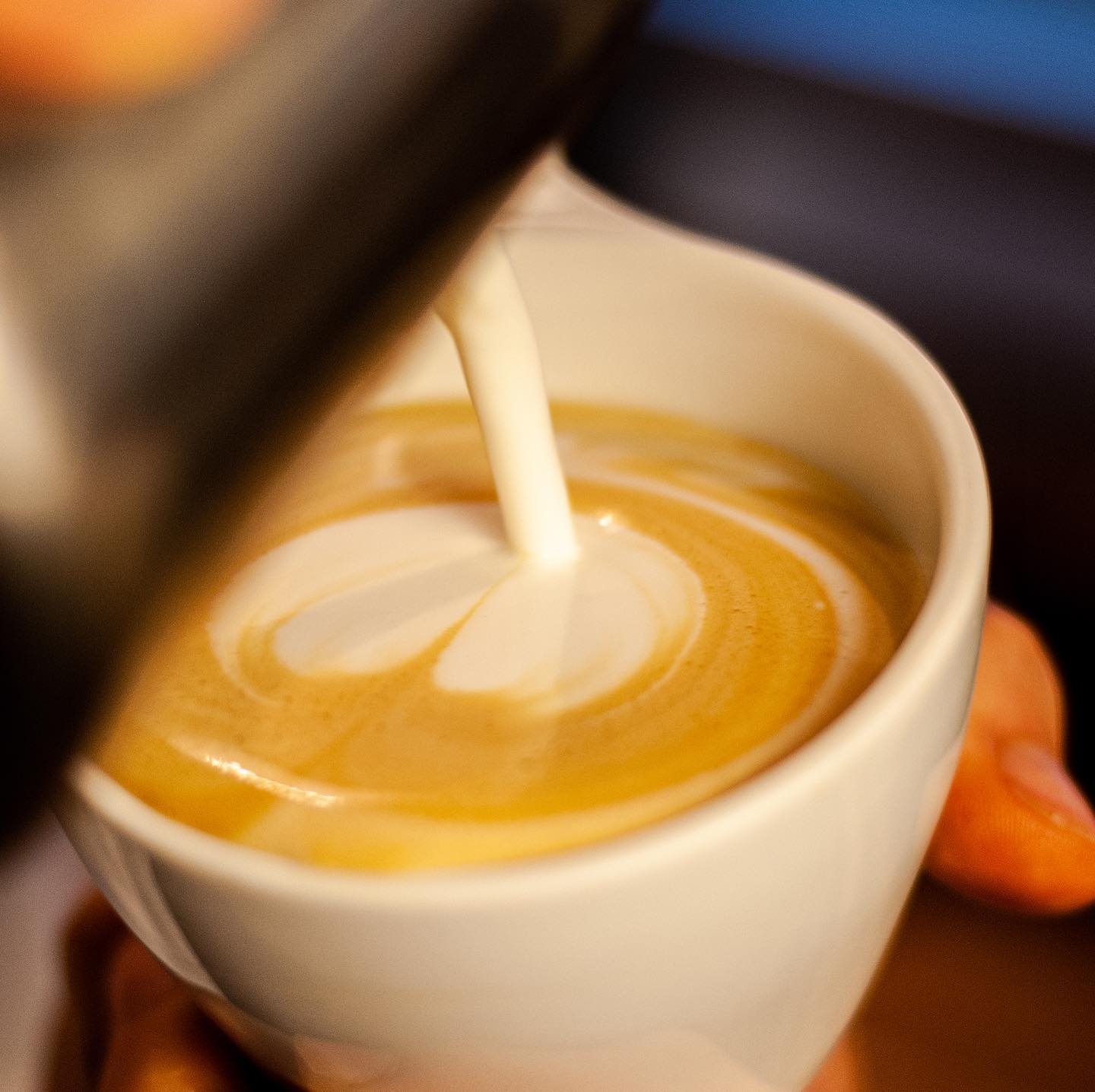 5 Favorite Coffee Shops Near MacDill AFB